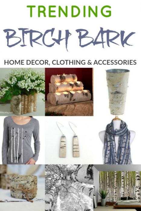 Birch Tree Bark Trends I'm Loving Right Now - Knick of Time
