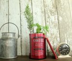 Repurposed Coffee Can Kitchen Herb Garden - Knick of Time