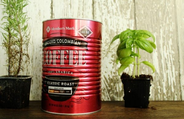 Repurposed Coffee Can Kitchen Herb Garden - Knick of Time
