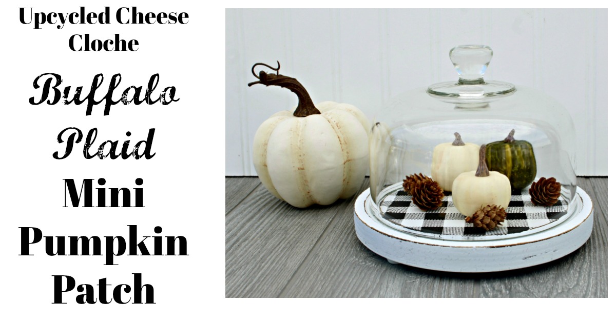 Cheese Cloche Upcycled Into Mini Pumpkin Patch - Knick of Time